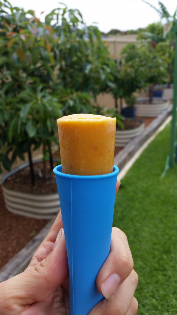 Creamy tropical icy poles | Itchin' Kitchen